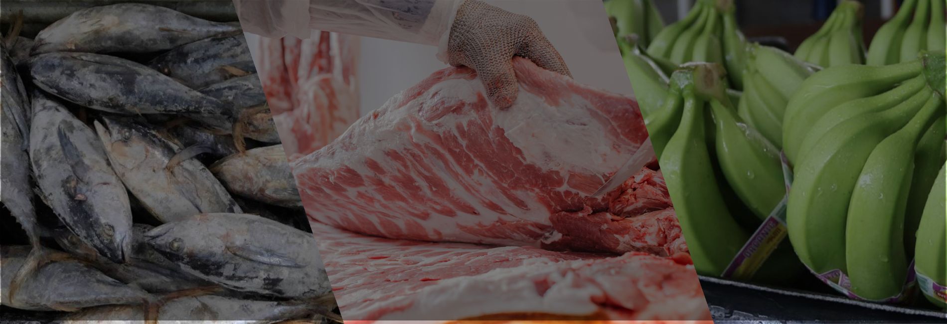 INDUSTRIA ALIMENTARIA - CECOMEX